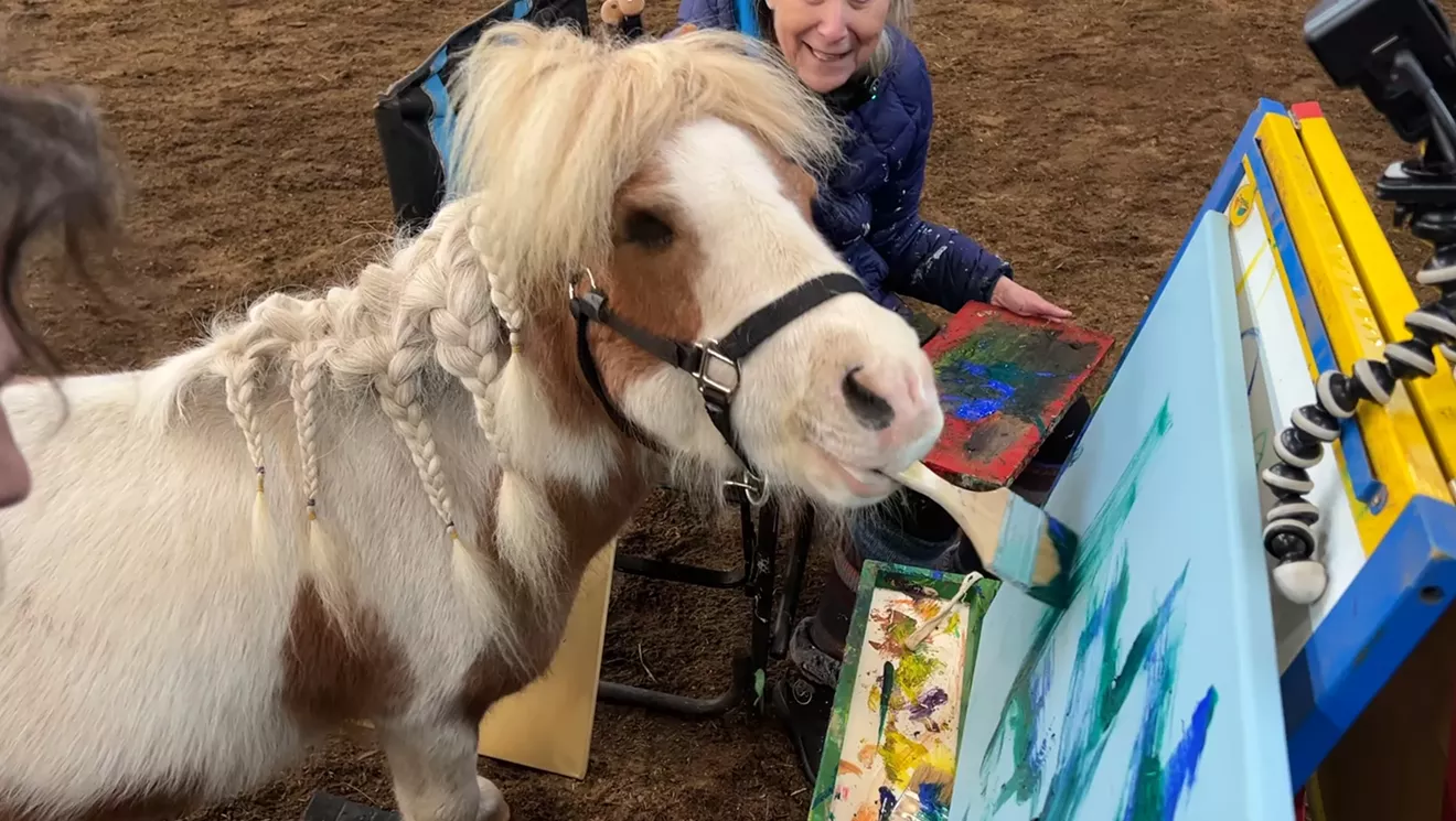 Stuck in Vermont: Painting with Pepperoni, a Miniature Horse; Judi ...