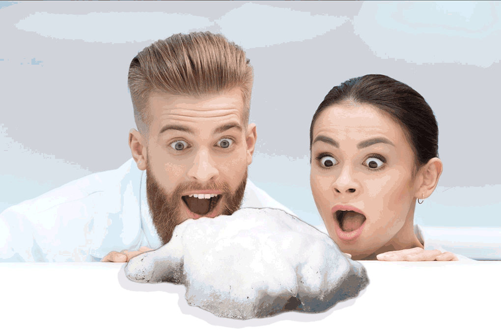 The Parmelee Post: Study Concludes Dog Poo Doesn't Magically Disappear ...